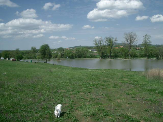 Panorámás építési telek horgásztó területén eladó! - Nézsa, vác - Telek