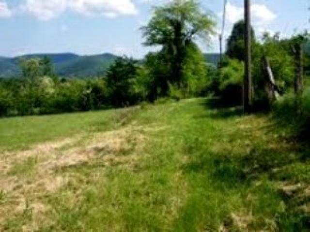 Dömösön panorámás telek eladó - Dömös - Telek