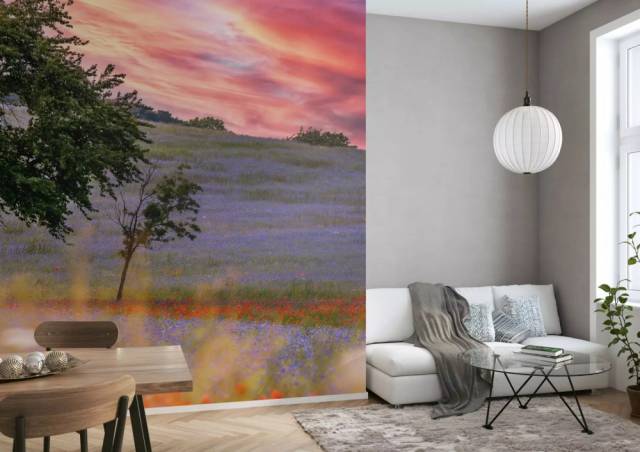 Magic Walls-Landscape naplemente a réten poszter 363425 - Rasch - Dabas ...