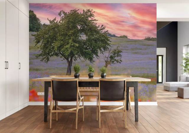 Magic Walls-Landscape naplemente a réten poszter 363425 - Rasch - Dabas ...