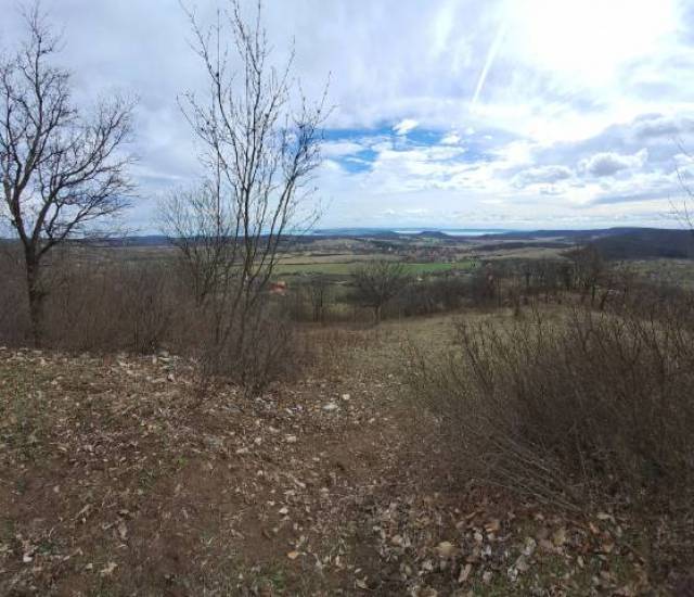 Totál panorámás beépíthető telek - Pécsely - Telek