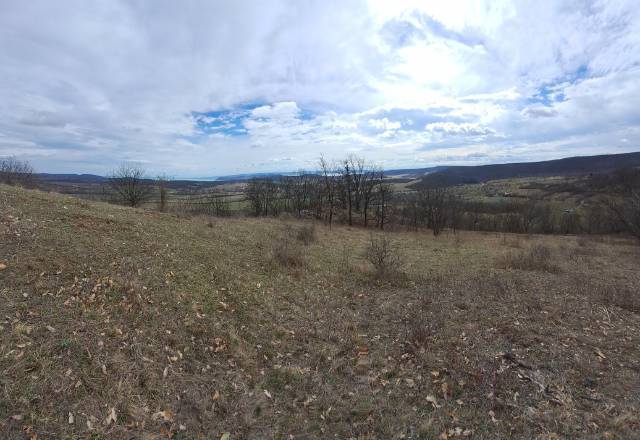 Totál panorámás beépíthető telek - Pécsely - Telek