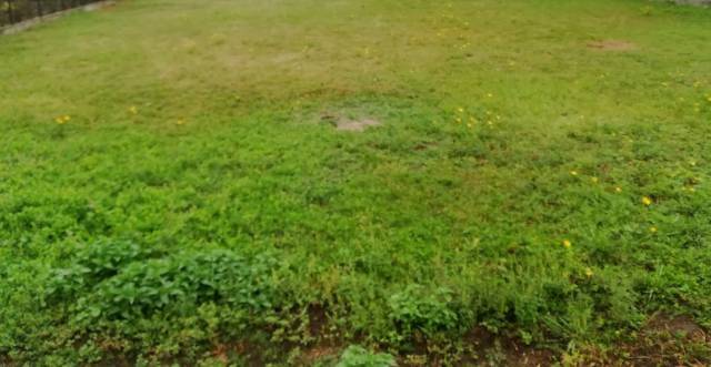 Debrecen, a Biharikert elején 600 nm-es telek eladó - Debrecen ...