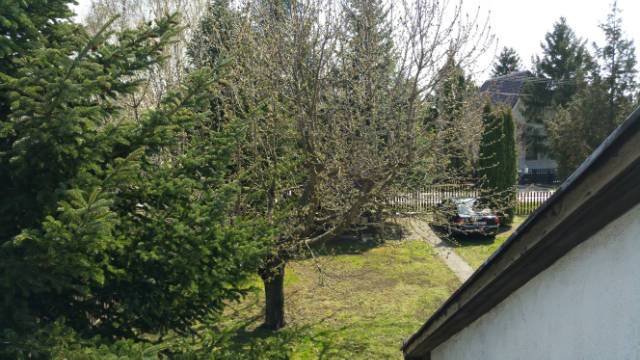 Agárdon nyaraló eladó! - Gárdony, 2484.Agárd.Moha utca - Eladó ház, Lakás