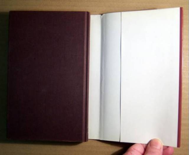 Menekülj, Jane! (Joy Fielding) 1995 (megkímélt) 8kép+tartalom ...