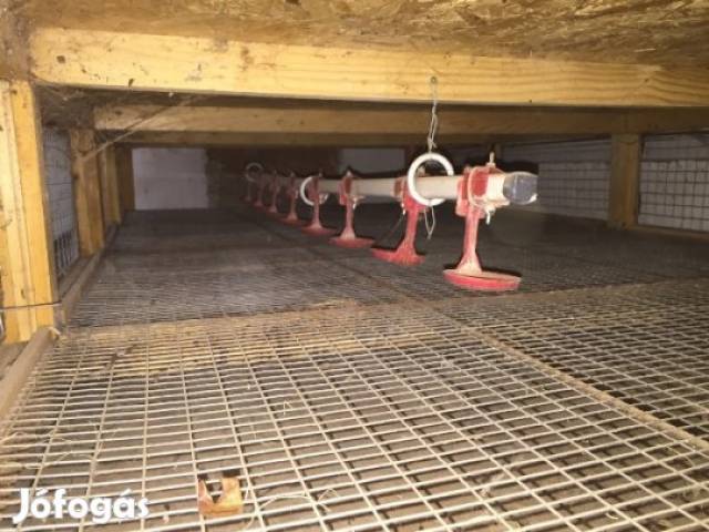 Egyedi Tervezésű Kis Állat Ketrec 250x125 Cm Akciósan Áron Alul Több ...