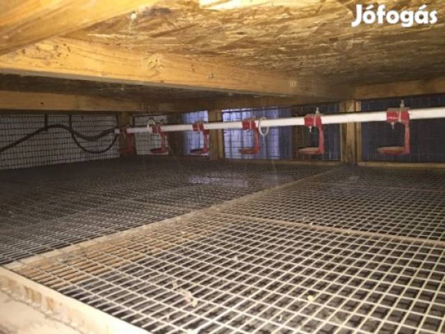 Egyedi Tervezésű Kis Állat Ketrec 250x125 Cm Akciósan Áron Alul Több ...