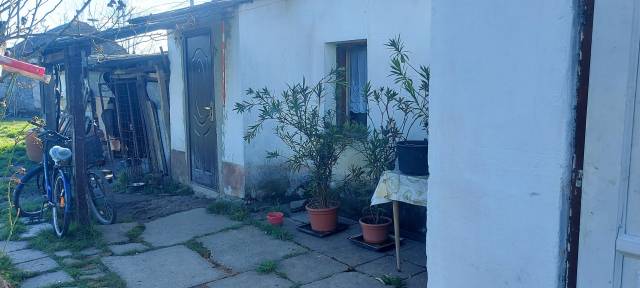 Családja, munkája Romániához köti, de szívesebben élne Magyarországon ...