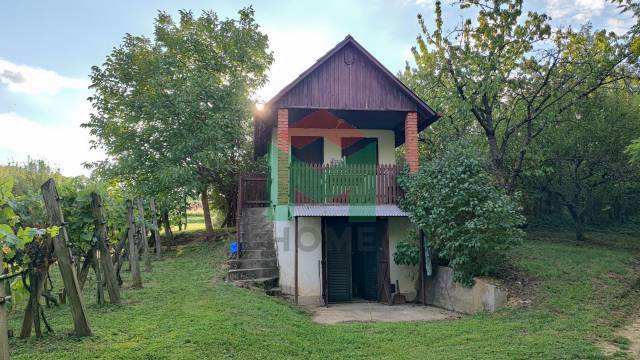 Három zártkert pincével - Marcali, Szőlőhegy - Marcali, Szőlőhegy - Telek