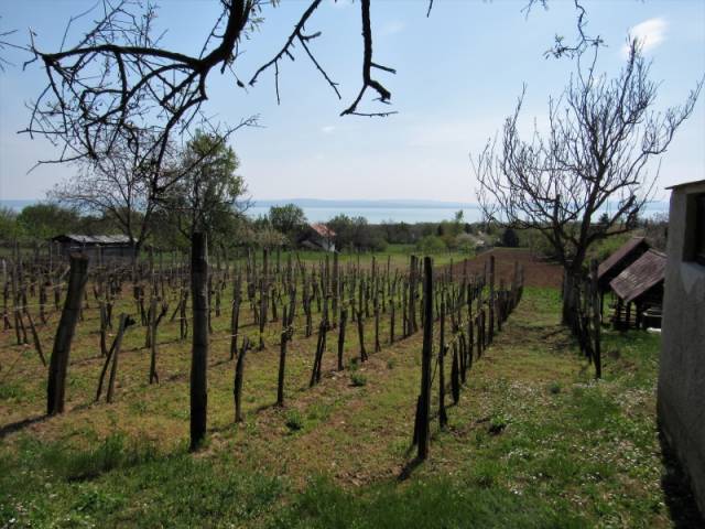 Panorámás telek eladó Balatonakaliban, Leshegyen! - Balatonakali ...