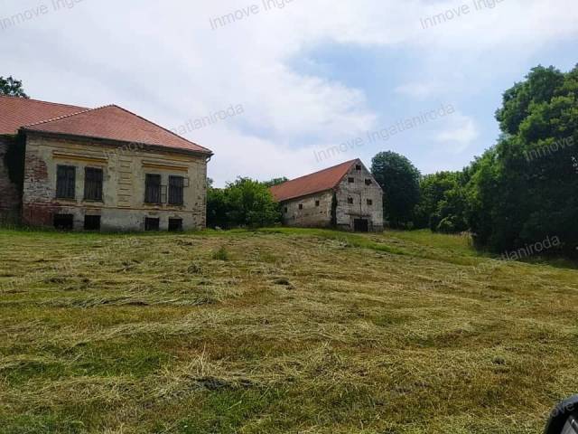 Eladó 700 nm-es Villa, kastély Gyugy - Gyugy - Eladó ház, Lakás