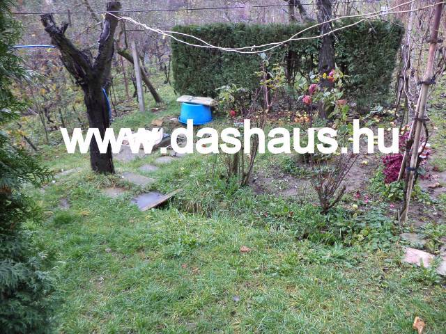 Garzon Panel helyett kertes Ingatlan Zalaegerszegen? www.dashaus.hu ...