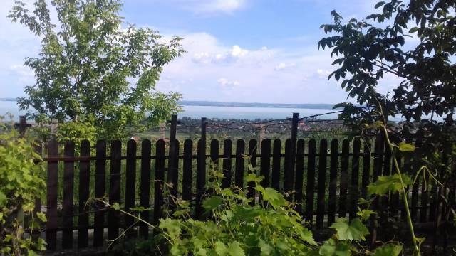 Csopaki balatoni panorámás telek - Csopak, Kishegyi u.1409 hrsz. - Telek