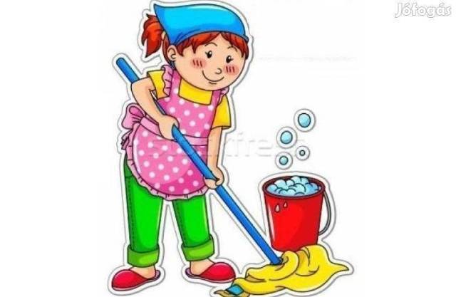 Takarító állás - Sződliget - Egyéb munka