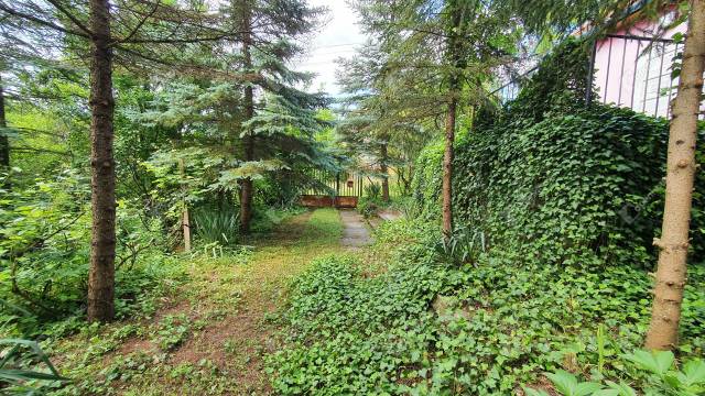 Miskolctapolcán 700 m2-es telek gyönyörű panorámával eladó ...