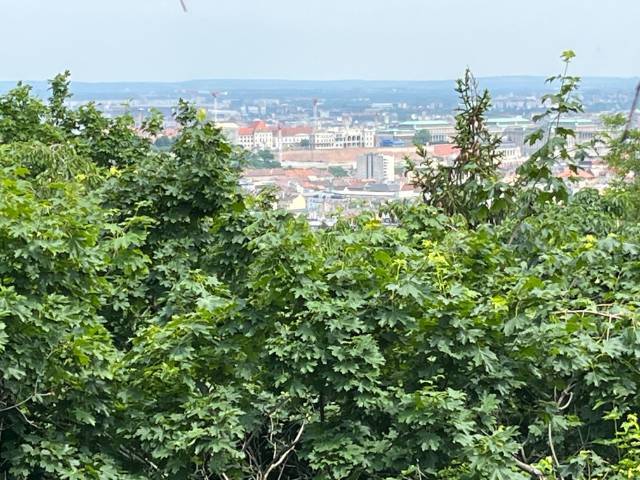 XII. kerület, Fodor utca, panorámás lakás eladó - Budapest XII. kerület ...