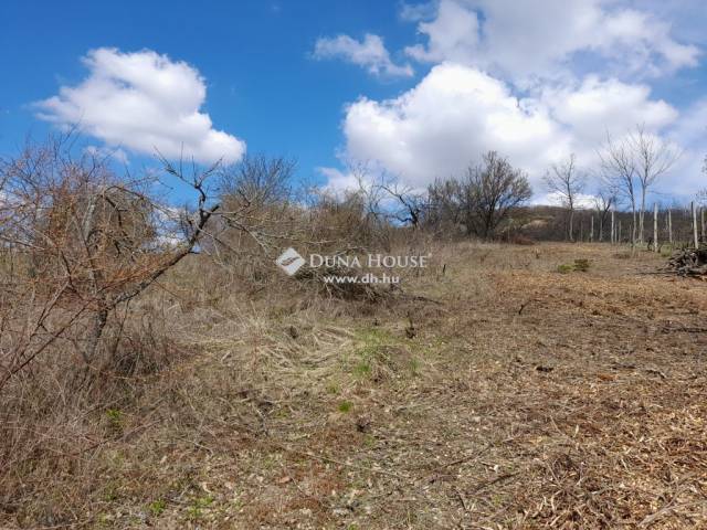 Eladó Ház, Héreg - Héreg - Ház