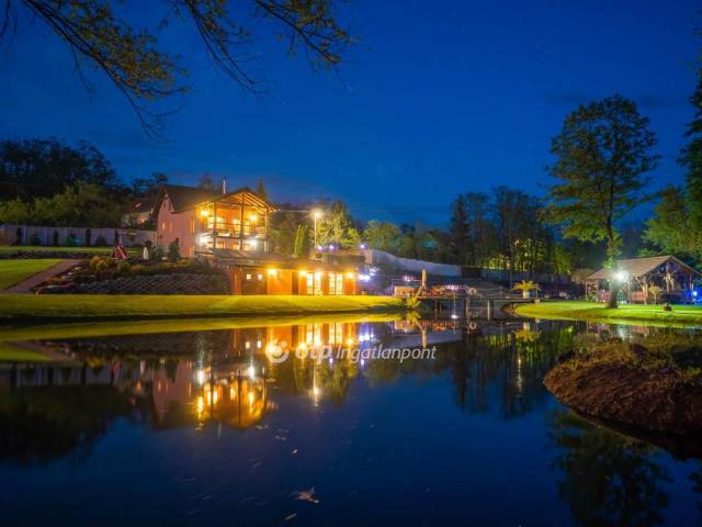 Eladó Ház, Domony - Domony - Eladó ház, Lakás