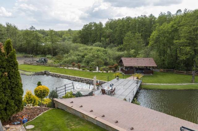 Eladó Ház, Domony - Domony - Eladó ház, Lakás