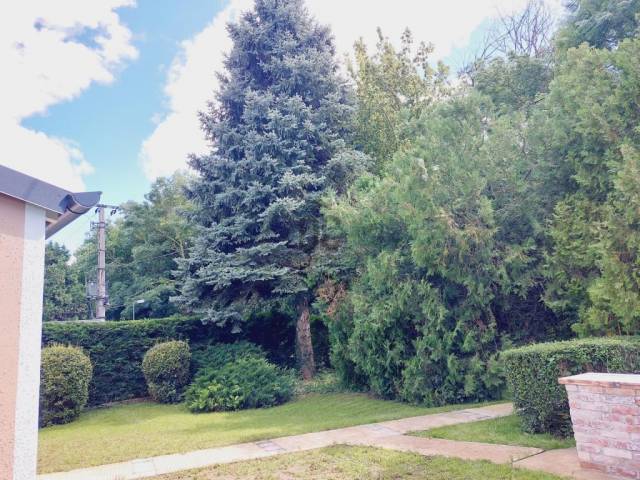 Eladó felújított nyaraló Ráckevén - Ráckeve - Eladó ház, Lakás